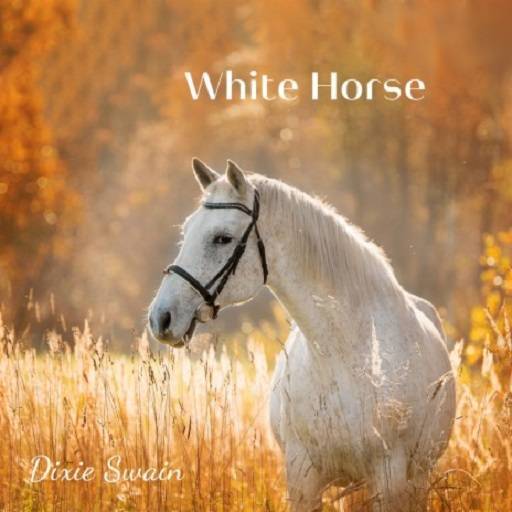 White Horse Lyrics With Video -Taylor Swift | 2008 Song